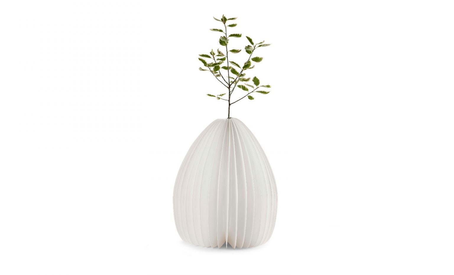 Gingko » Smart Vase Light