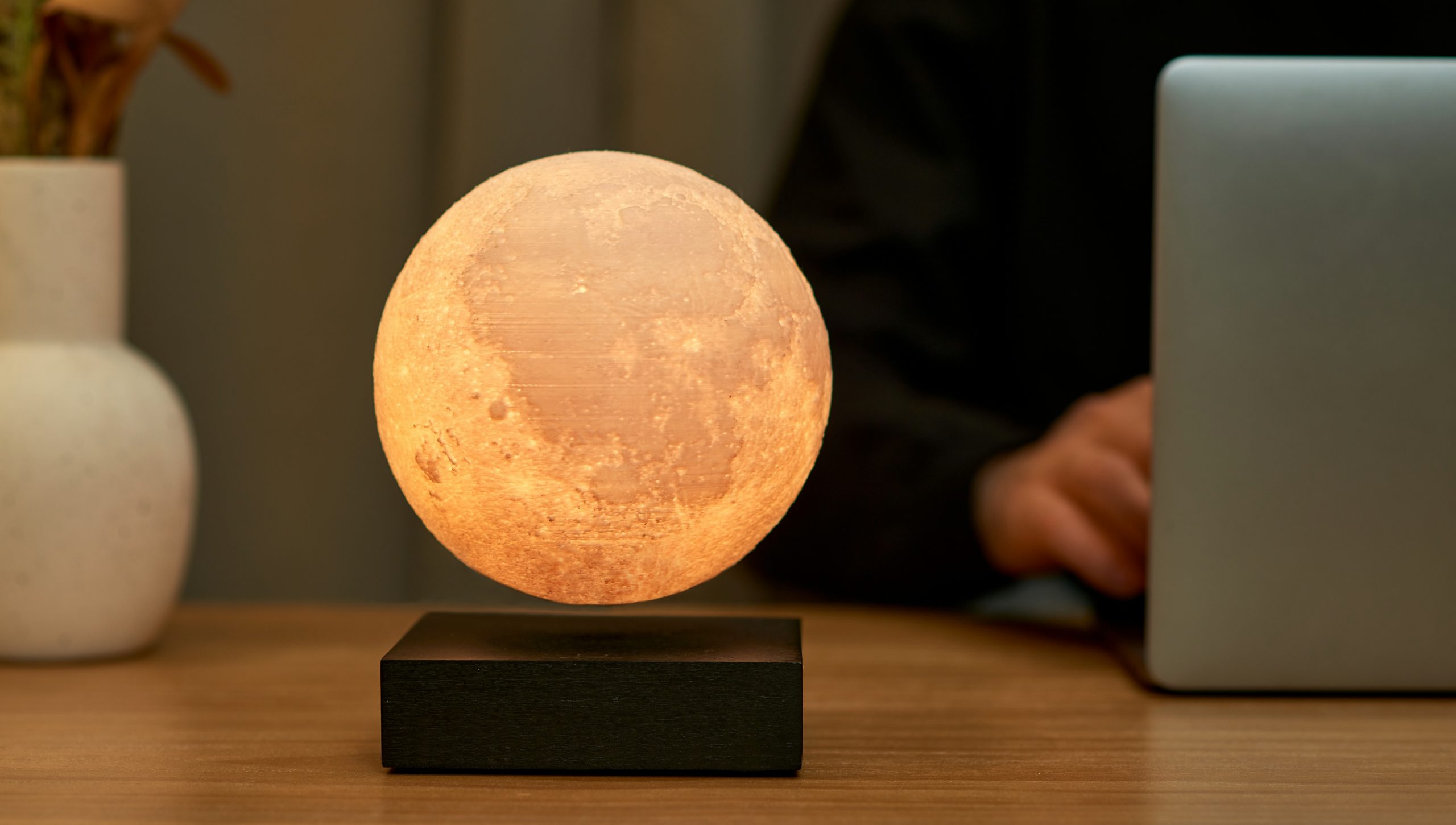 Gingko » Our Products