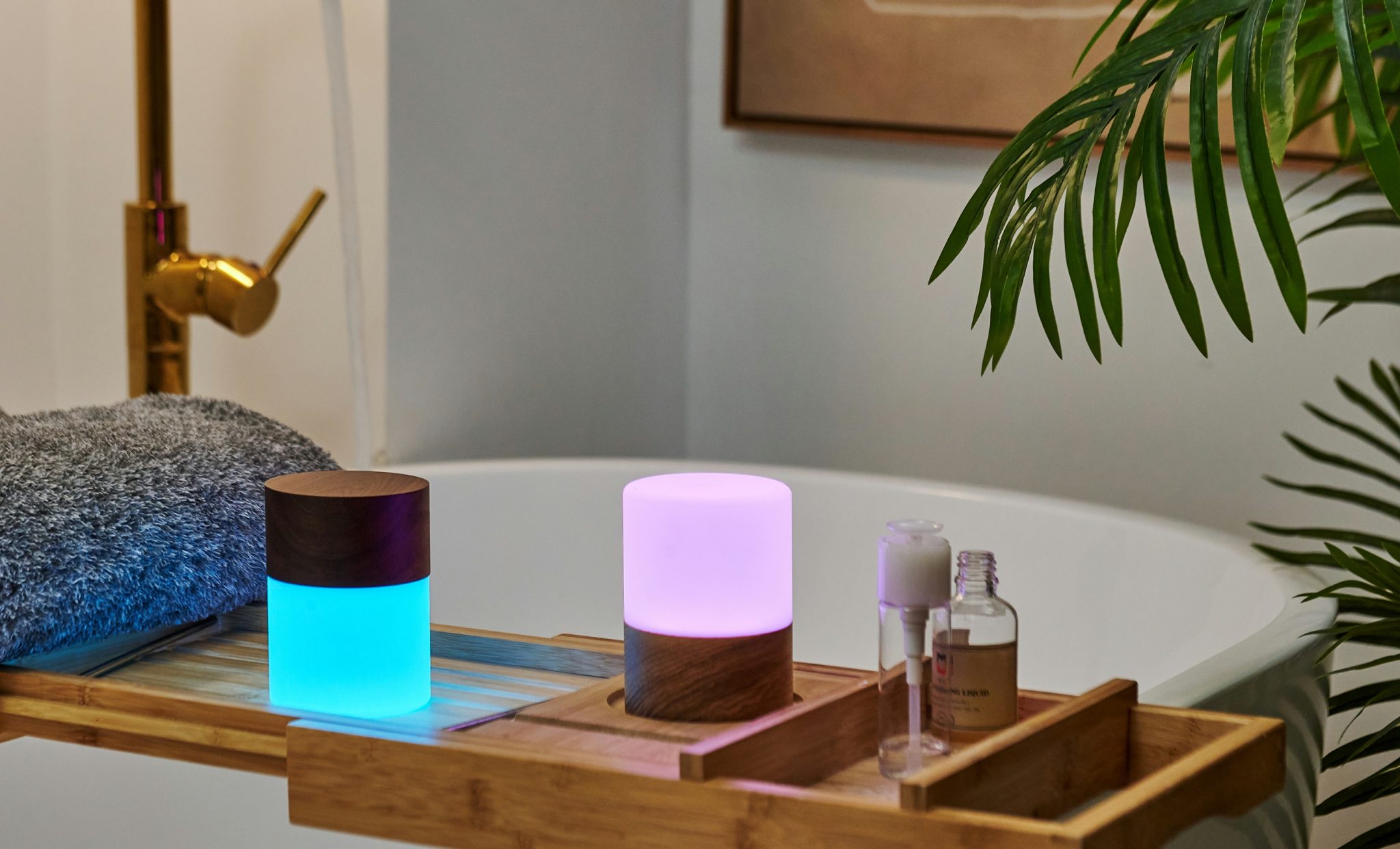 Gingko » Lemelia Light