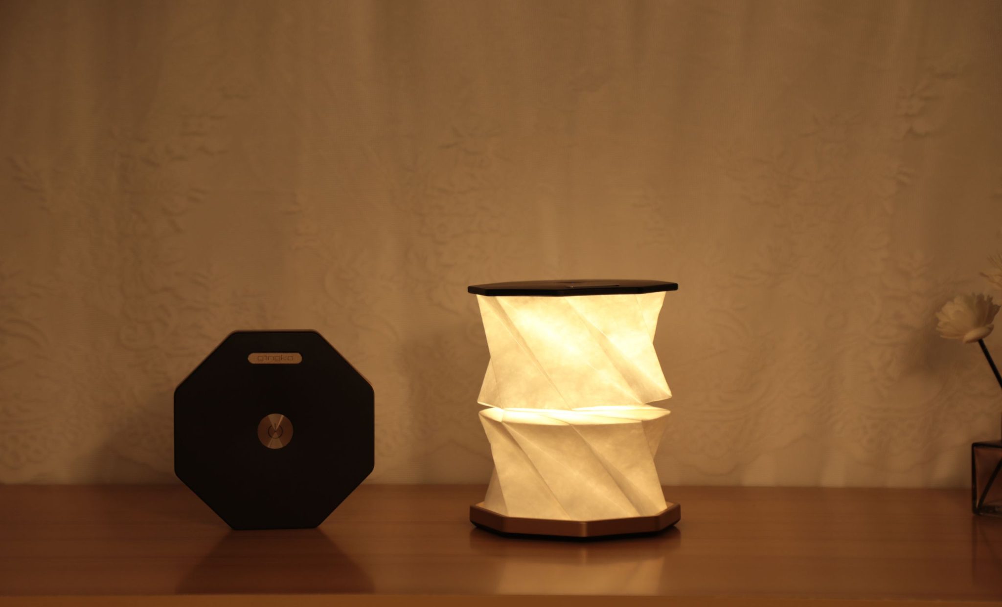 Gingko » Twist Hexagon Lamp