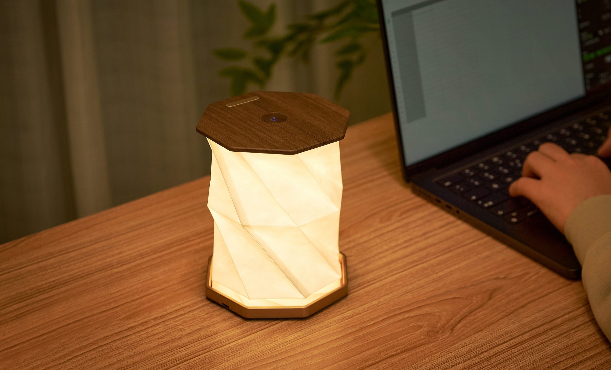 Gingko » Twist Hexagon Lamp